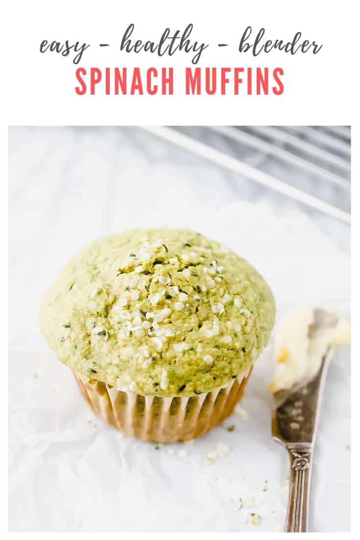 Spinach Muffins Recipe (Blender Green Muffins) | My Everyday Table